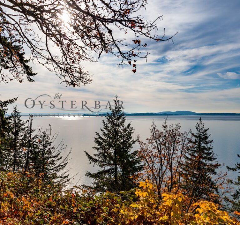 Hidden Gems of Bow, WA: Uncovering the City's Quirky and Cool ...