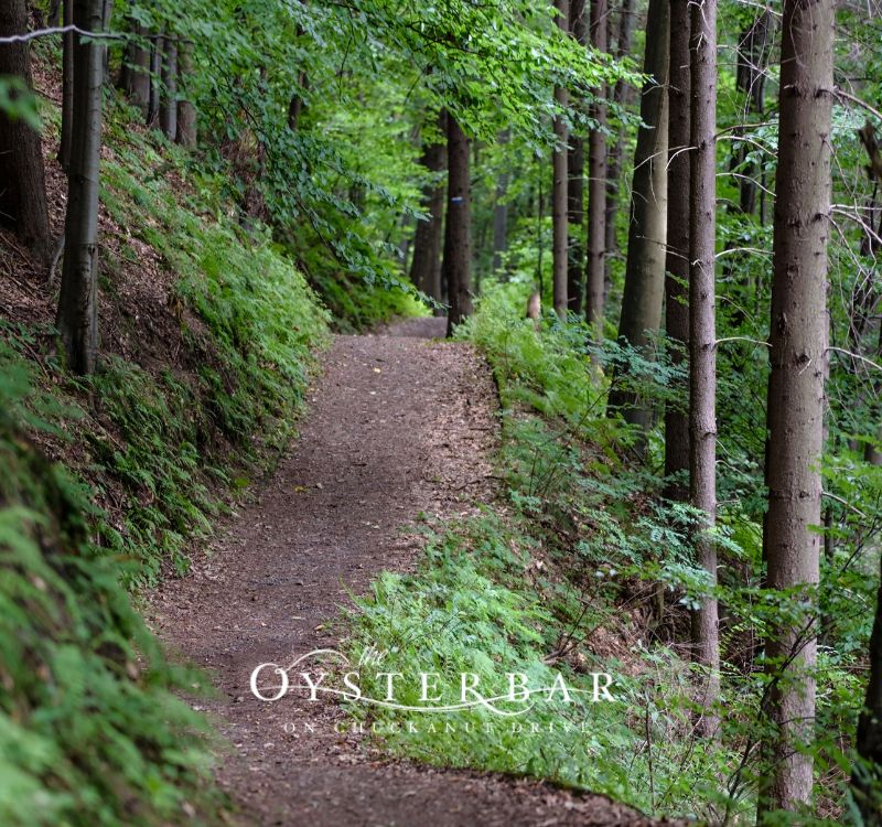 5 Must-Do Hikes Along Chuckanut Drive: From Easy Strolls to Challenging ...