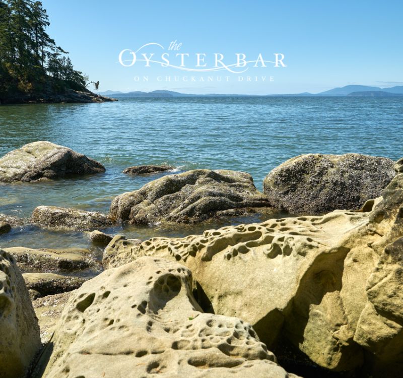 Exploring Larrabee State Park: Camping, Beachcombing, and More – The ...